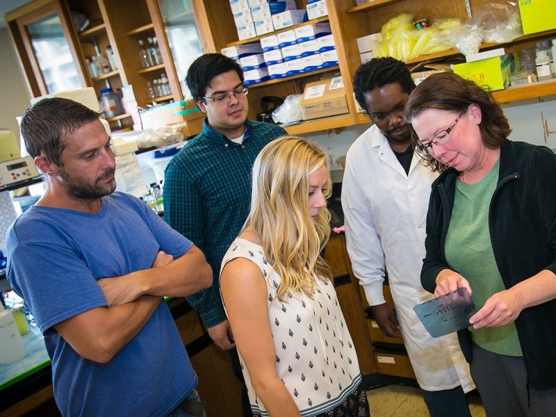 Graduate Studies Engage | Cleveland State University